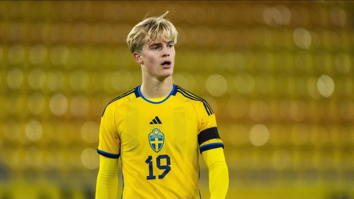 Tottenham snatch highly-rated Swedish teen Lucas Bergvall from ...
