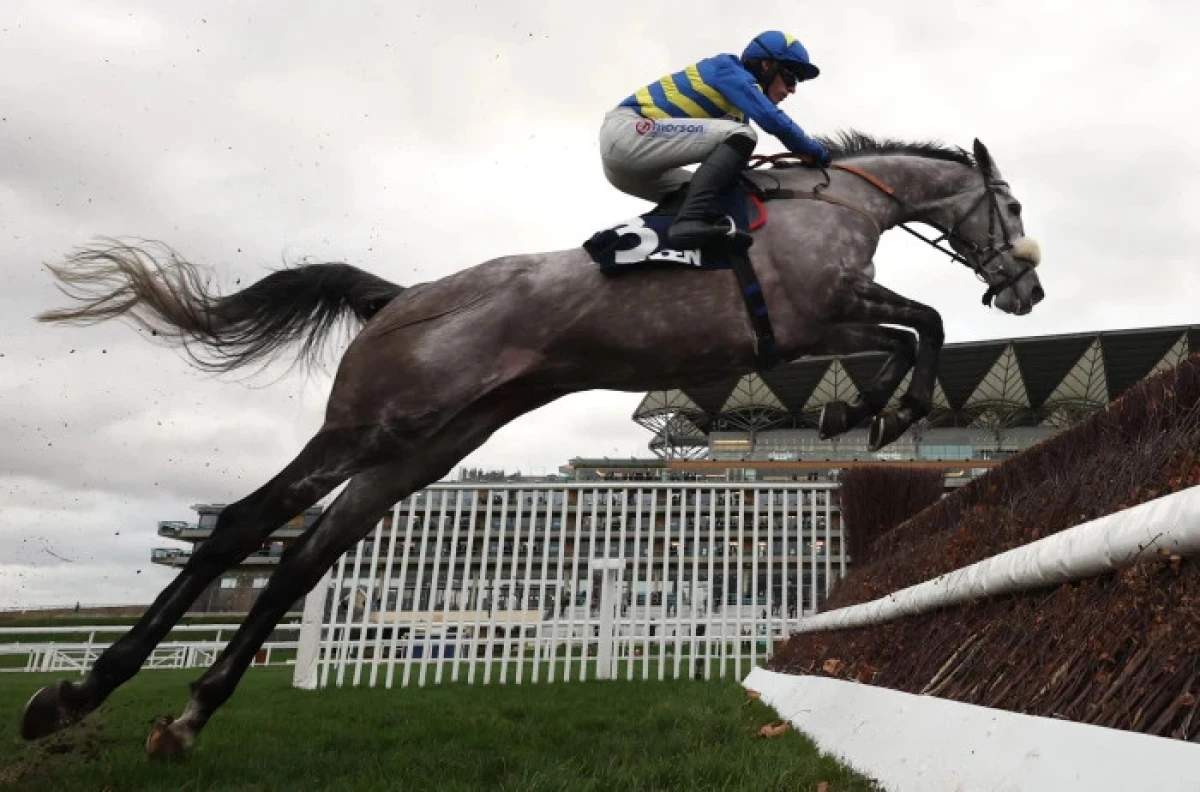 Harry Cobden’s Planet Sport Bet blog: Expecting a bold show from Kandoo Kid