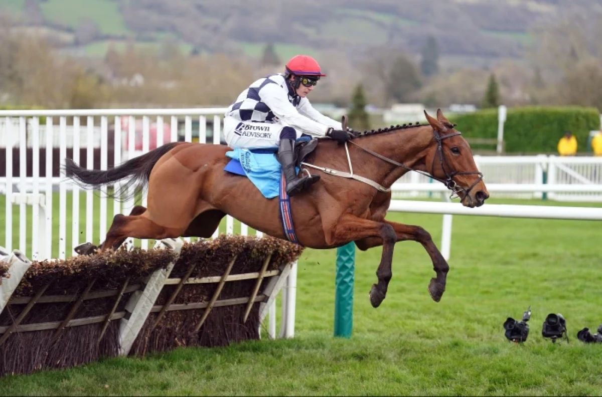 Ballyburn opens day two of the Cheltenham Festival with an impressive ...