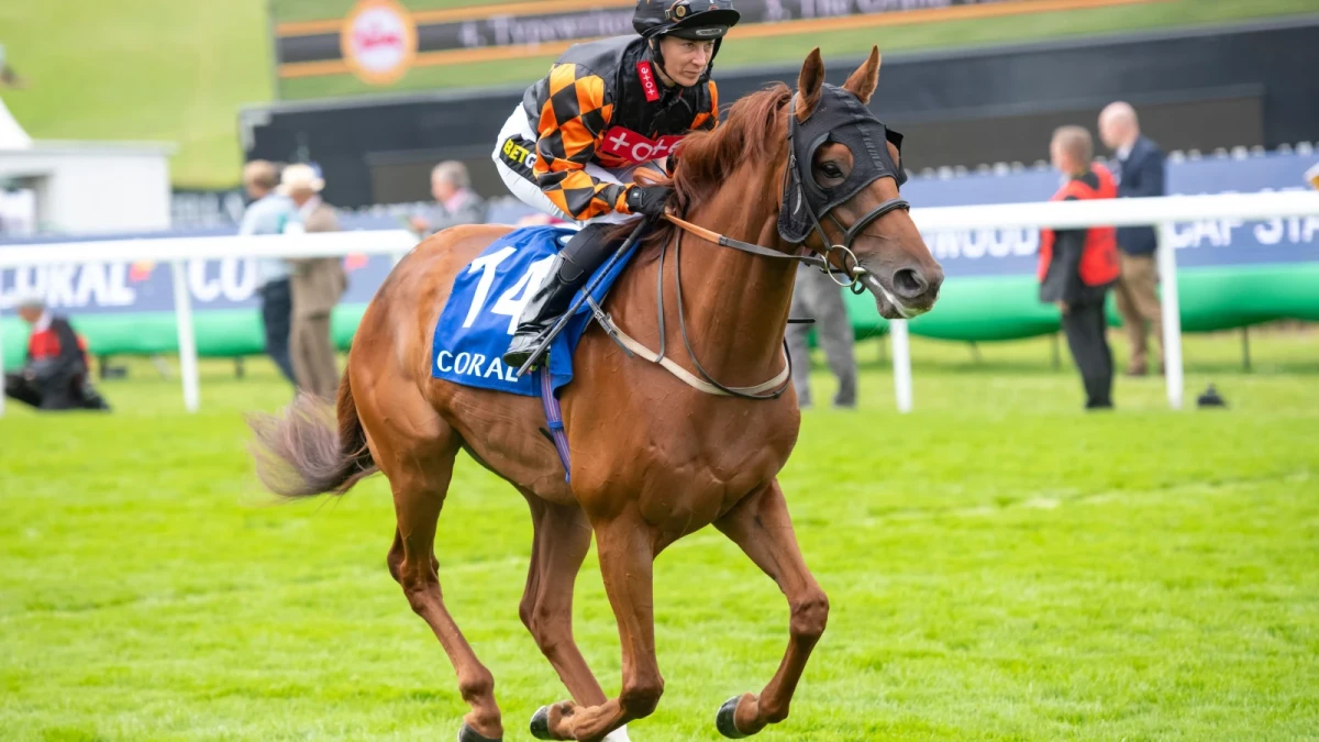 Southwell racing tip (1945): Mostly Sunny set to benefit from Class 2 ...