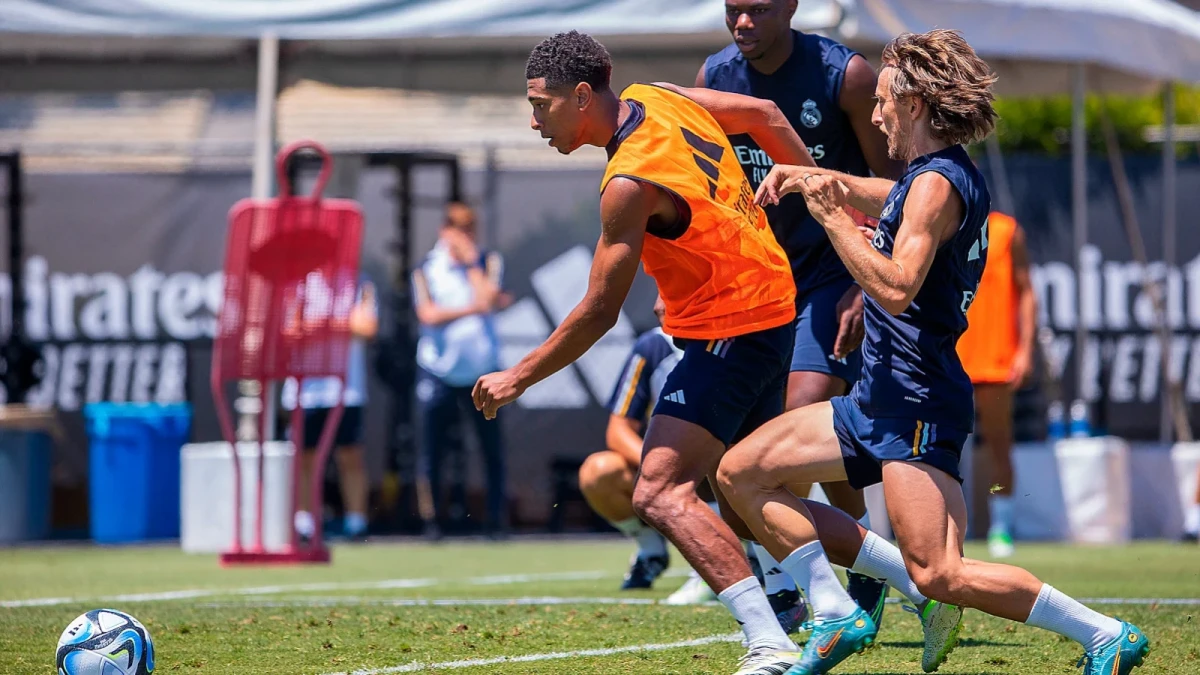 Jude Bellingham: I've been watching Luka Modric every day for three ...