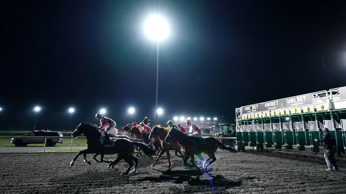 Kempton best bet: Baileys Warrior has fighting chance under Rossa Ryan