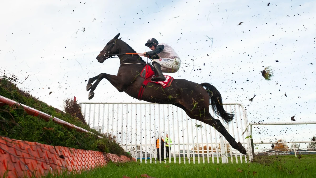 Leopardstown racing tip: Back the favourite to help Gordon Elliott see ...