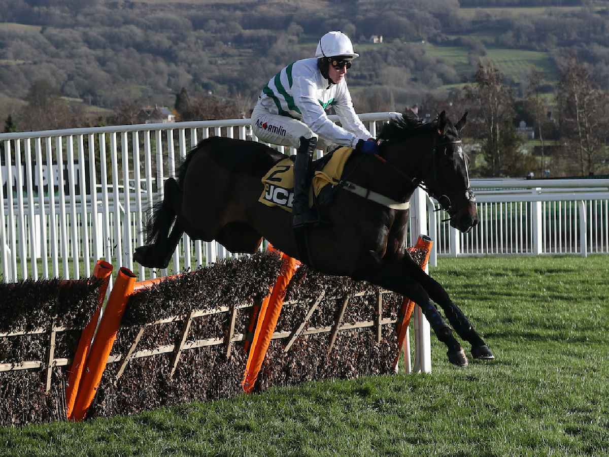 Botox Has and Josh Moore make amends with Fontwell win after horror ...