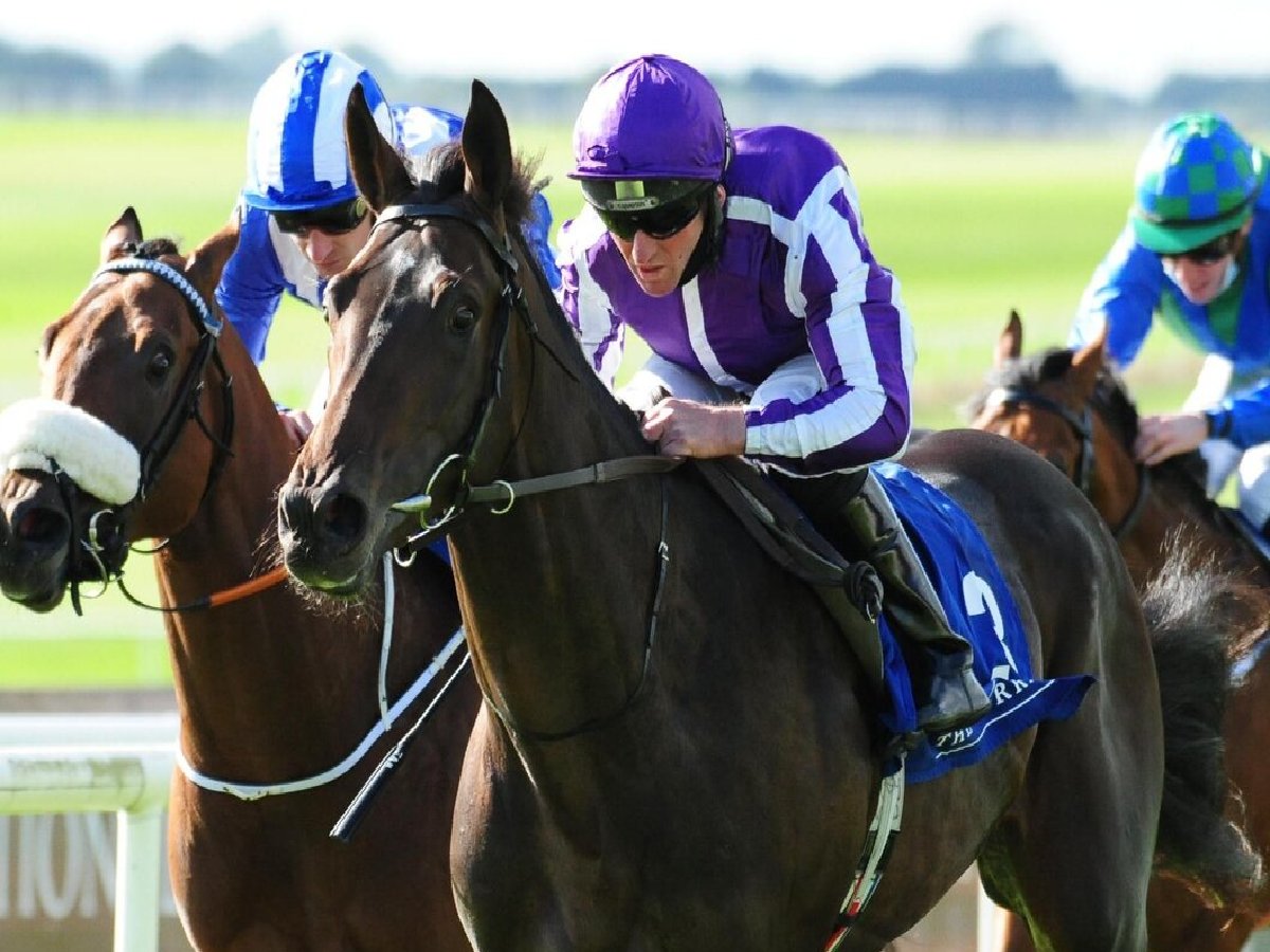 High Definition could focus on Dante ahead of Epsom Derby assault ...