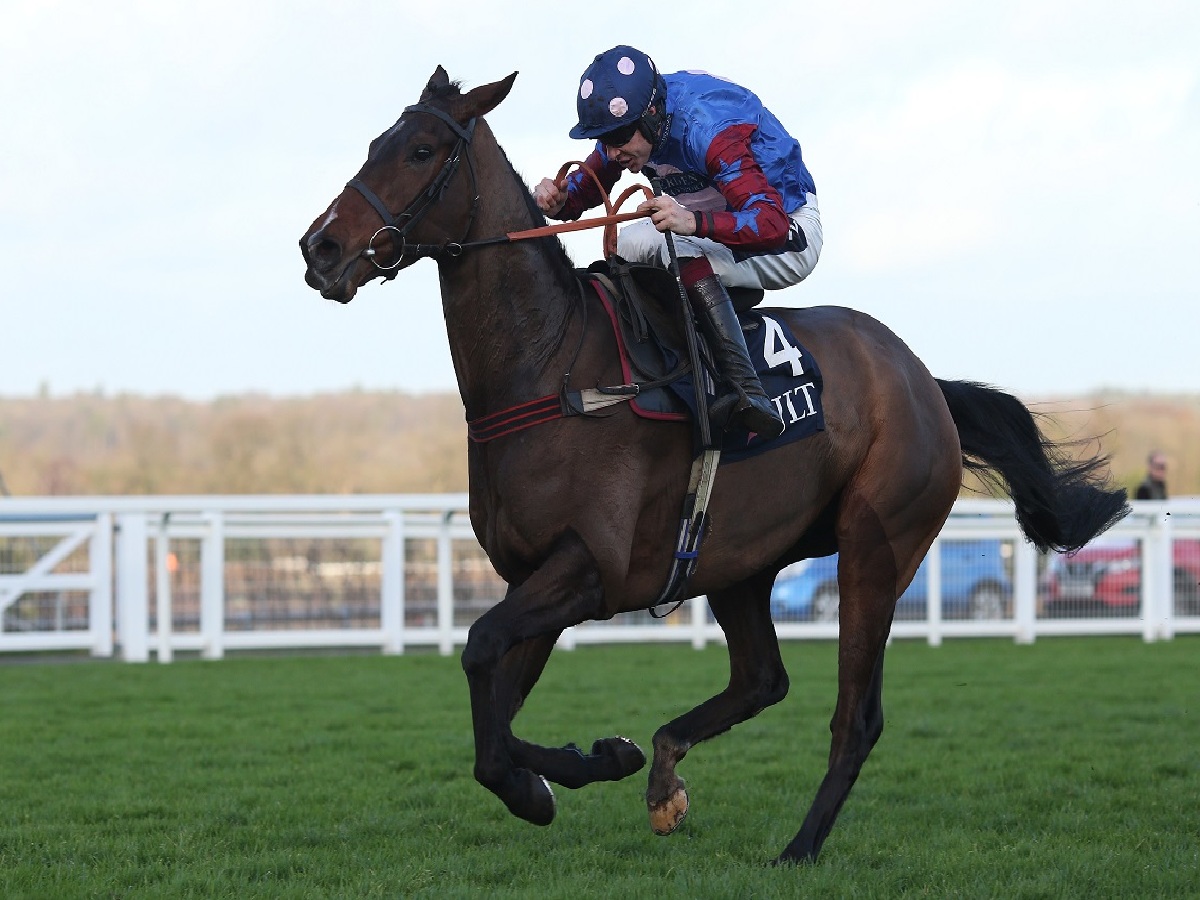 Tom Bellamy confirmed for former stayers’ champ Paisley Park | PlanetSport