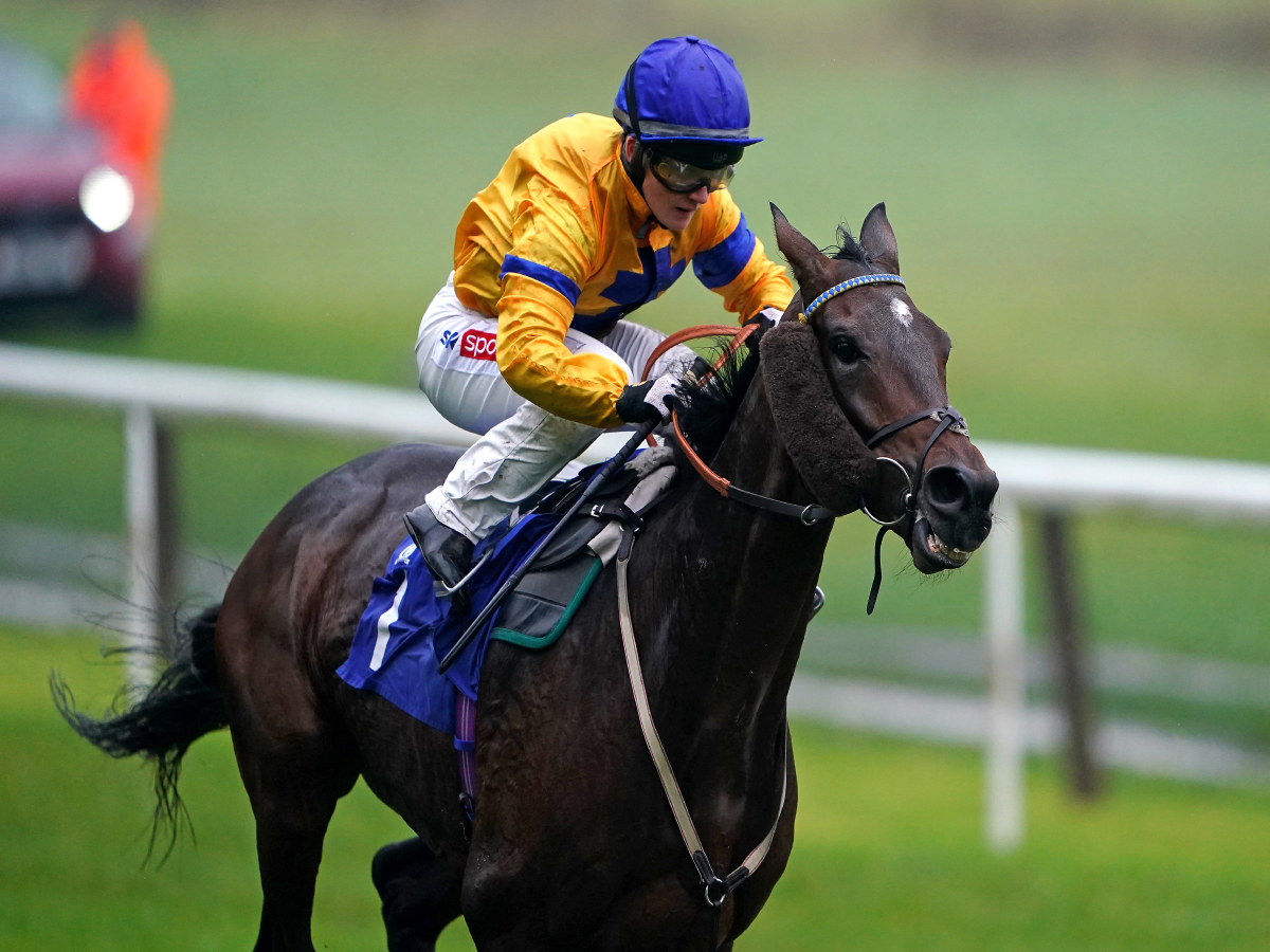 Stag Horn a long distance prospect for sprint master Watson | PlanetSport
