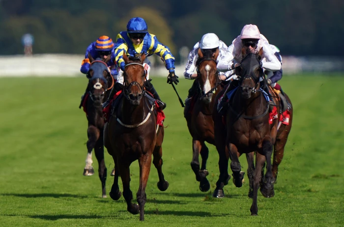 Best Horse Racing Tipsters - Quarterly Report | News & Community ...