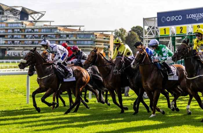 Horse racing previews and tips: British Champions Day at Ascot | News ...