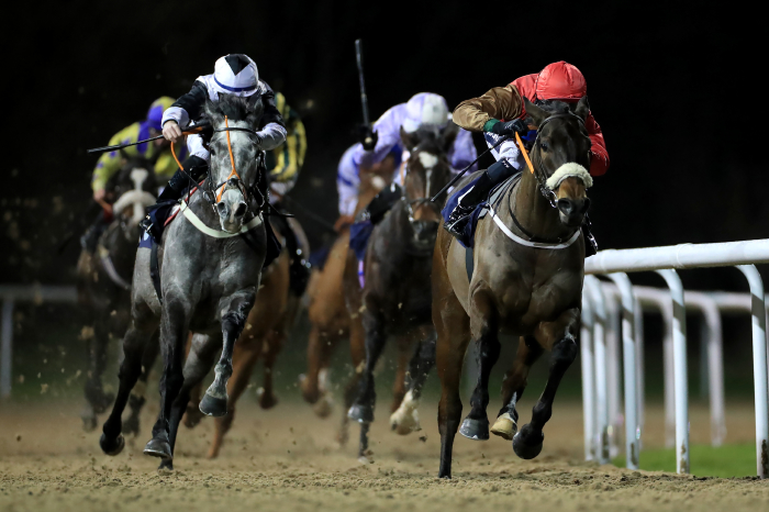 Monday's Newcastle racing tips: Athmad to run riot on Tyneside ...