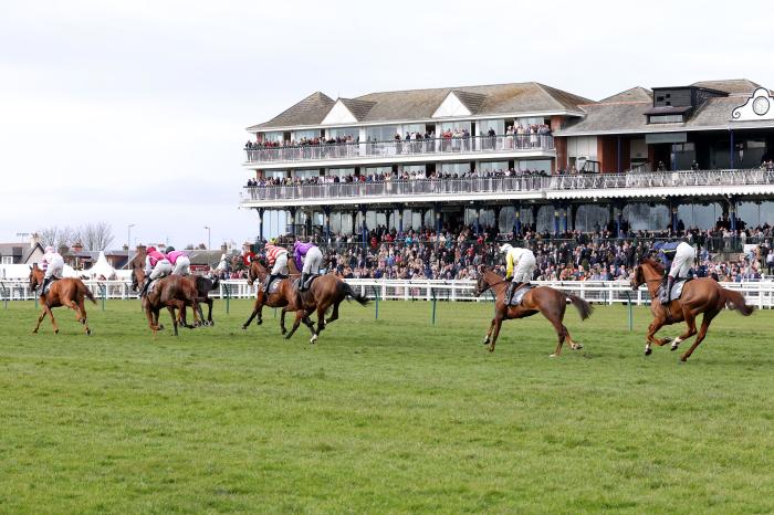 Twenty-three will go to post for Scottish Grand National at Ayr ...