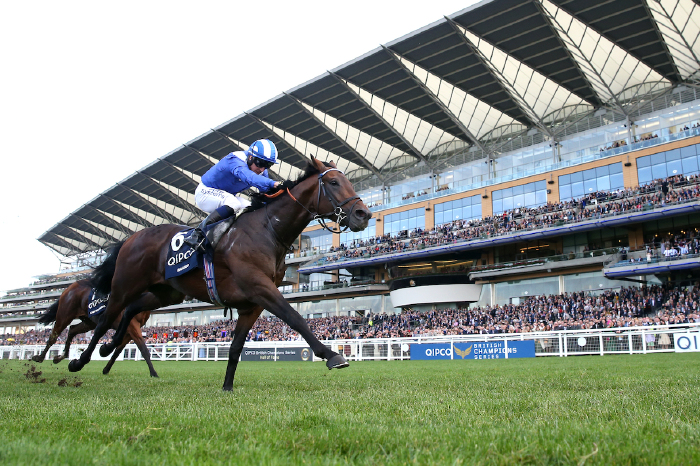 Brilliant Baaeed puts perfect record on the line in Juddmonte ...