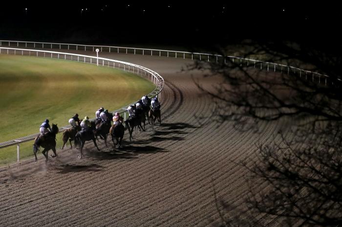 Tuesday's Chelmsford racing tips: Dukedom can land more glory for The ...