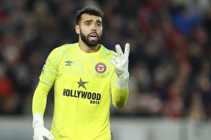Arsenal linked with surprise move for Brentford goalkeeper David Raya ...