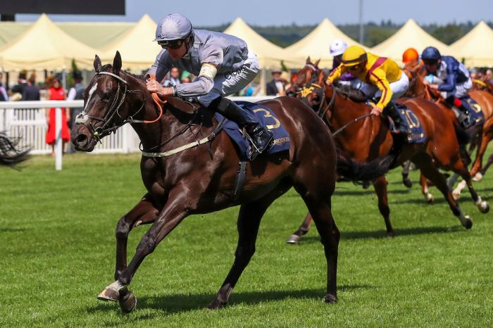 Dramatised leaves it late to claim Temple Stakes at Haydock | PlanetSport