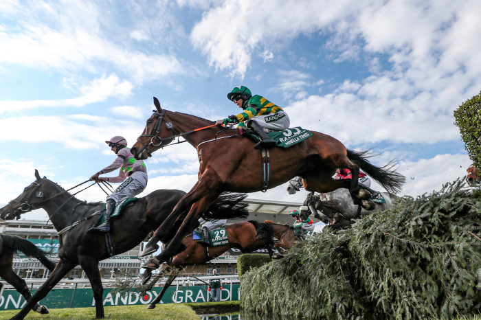 History-making Minella Times retired as a national hero after suffering ...