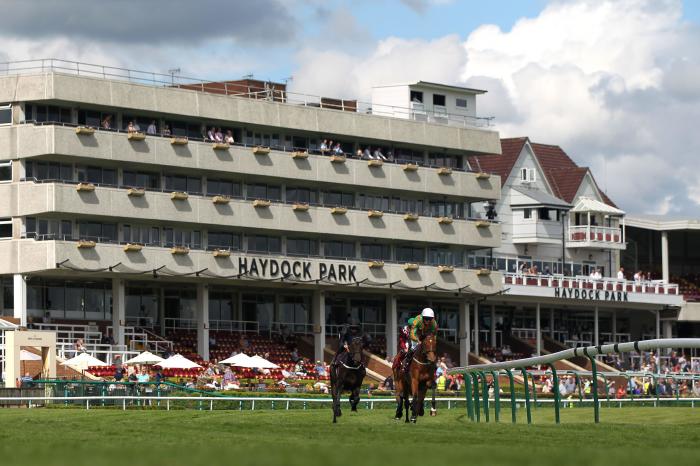 Saturday Haydock races each-way tip: Ailie Rose offers great early ...