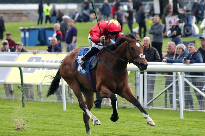 Highfield Princess to contend the King George Qatar Stakes at Goodwood ...