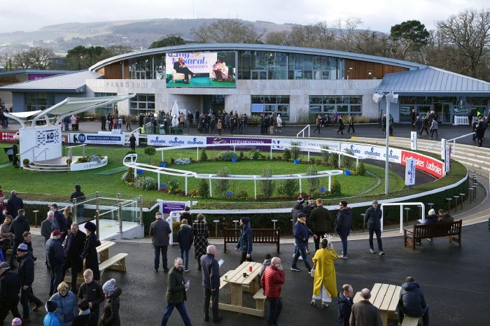 Saturday's Leopardstown racing tips: Saffron Beach will be hard to beat ...