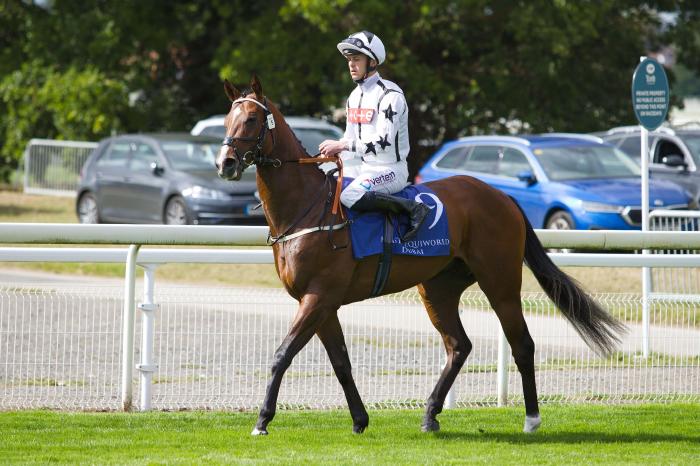 Nick Bradley has big sprint aspirations for Marshman when he returns to ...