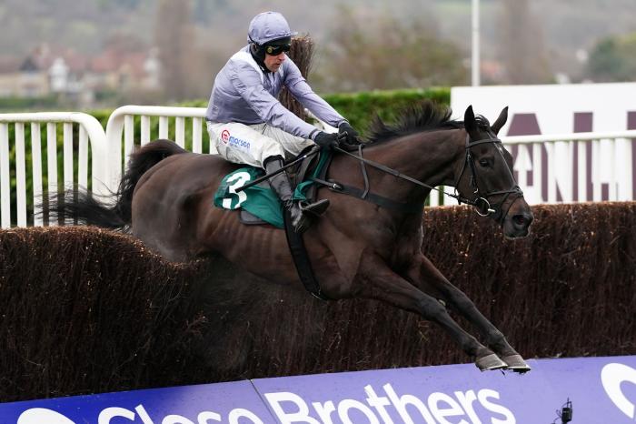 Possible spring return for My Drogo | PlanetSport