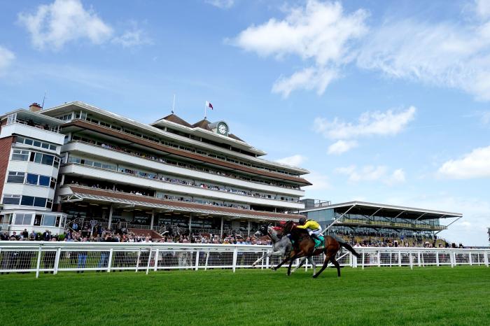 Saturday ITV Racing Tips: Best bets for Newbury and Ayr | PlanetSport