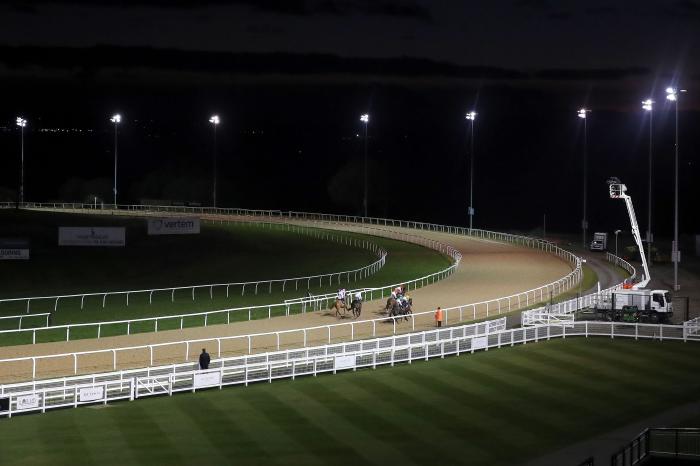 Tuesday's Newcastle racing tips: Grandad Bob could take some beating ...