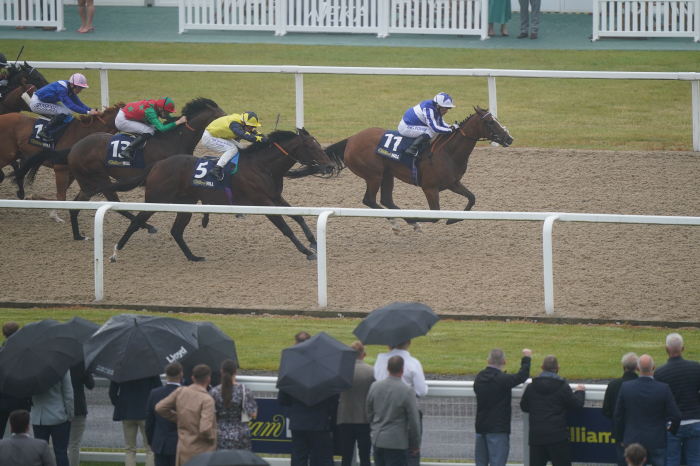 Thursday horse racing tips: Each-way double from Newcastle and ...