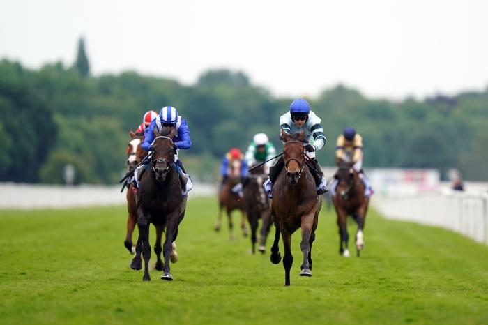 Place in the Melbourne Cup is up for grabs for the winner of the Ebor ...