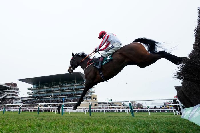 Cheltenham Festival news: The Real Whacker still not out of Gold Cup ...
