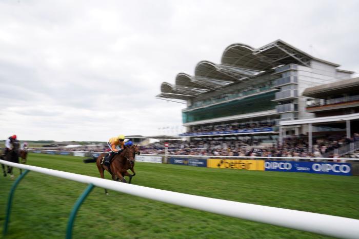 Friday's Newmarket racing tips: Polly Pot, Sacred and Crystallium have ...