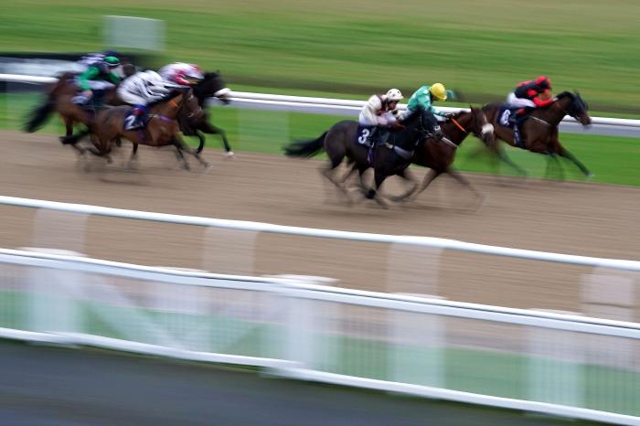 Wolverhampton is the sole survivor as all but one of UK's race meetings ...