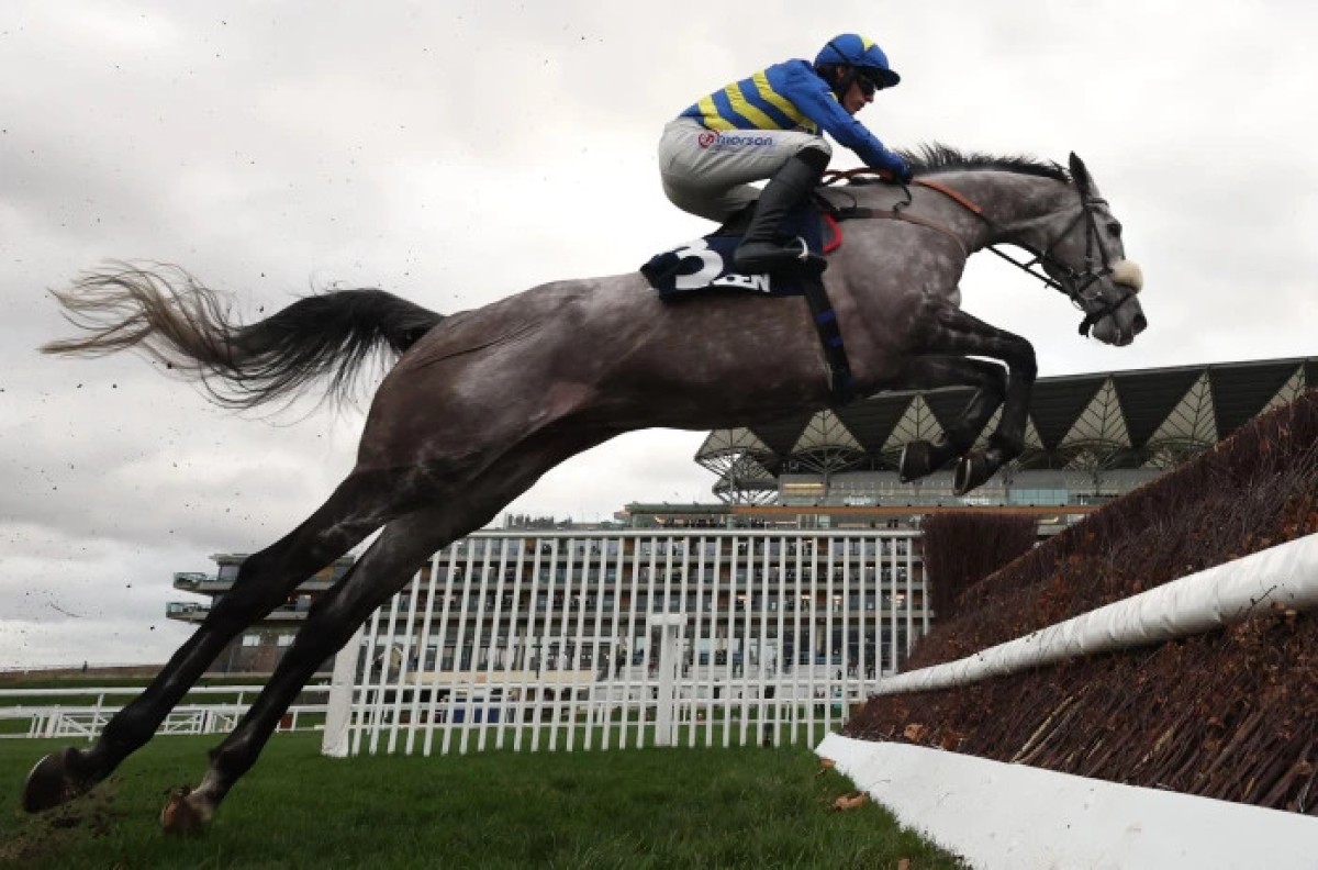 Harry Cobden’s Planet Sport Bet blog: Expecting a bold show from Kandoo Kid