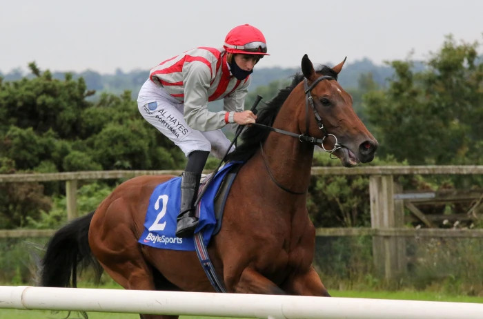 'The horse deserved it' - Andrew Slattery hails Sunchart after striking ...