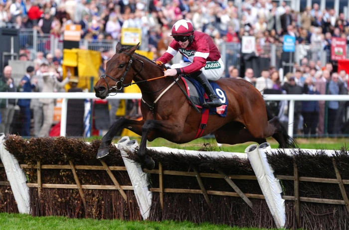 Turners Mersey Novices’ Hurdle: Brighterdaysahead seals victory for ...