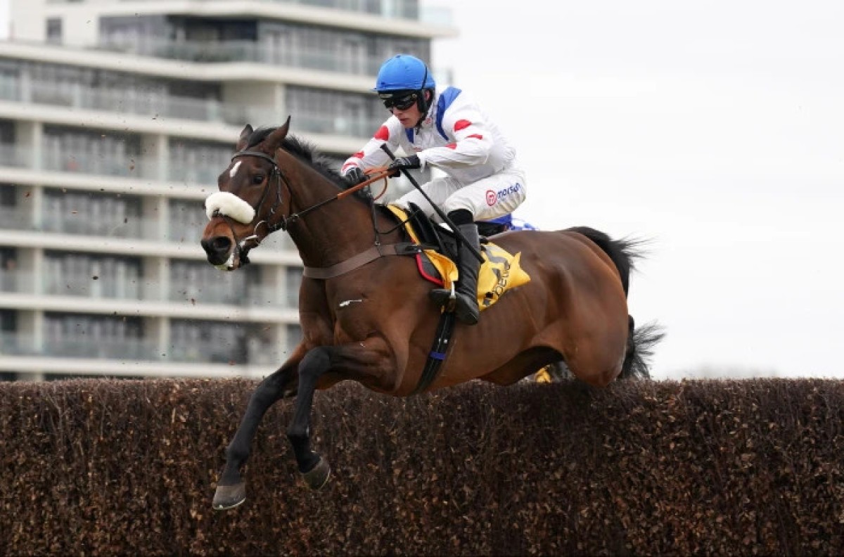 Harry Cobden’s Planet Sport Bet blog: Hitman could have a massive ...