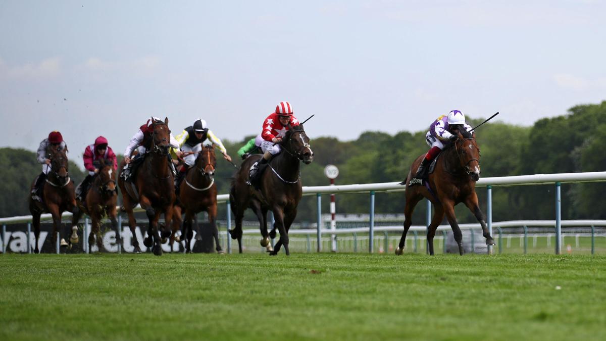 Haydock racing tip: Nigiri to make winning handicap bow for Ralph Beckett