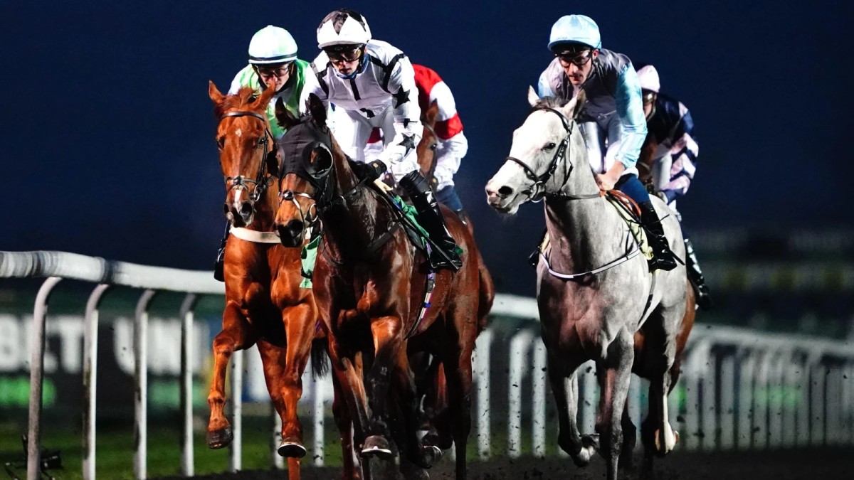 Kempton racing tip: Zero Carbon to sprint to victory