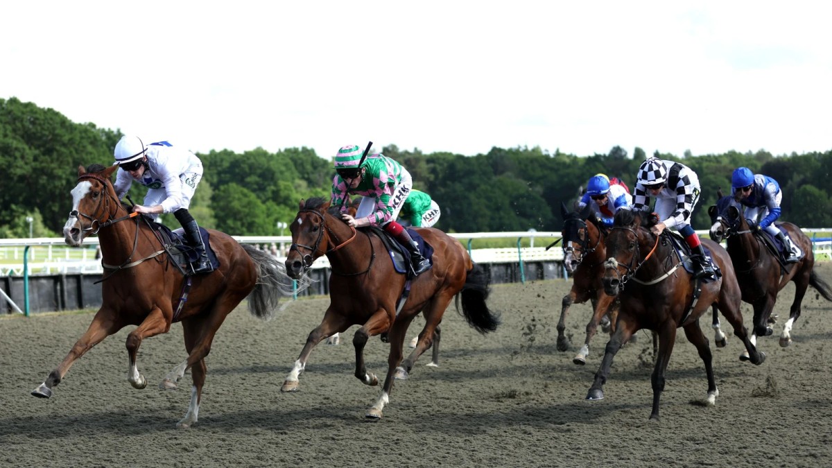 Lingfield best bet (1400): Conditions look ideal for bold bid from King ...
