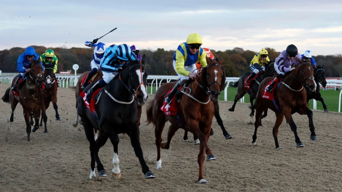 Newcastle top tips (1640): Tropez Power and Talis Evolvere carry each ...