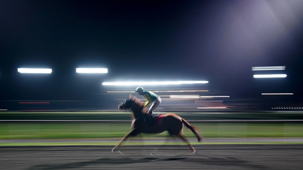 Kempton - Today's best free horse racing tips