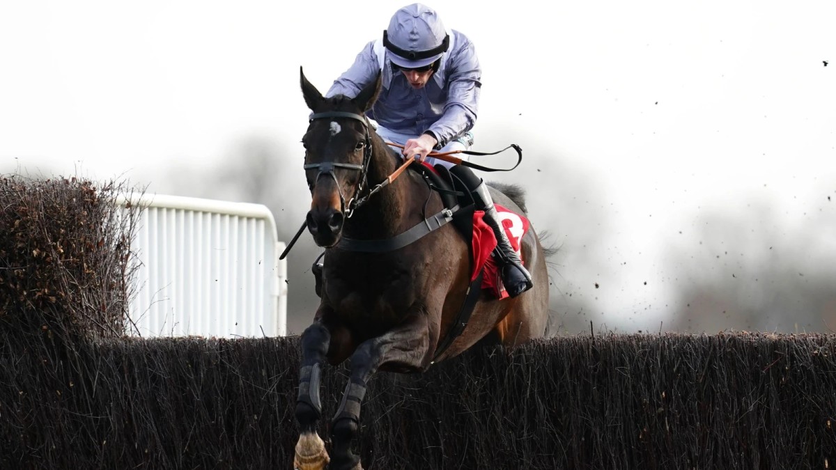 Harry Cobden believes Il Est Francais could be the real deal
