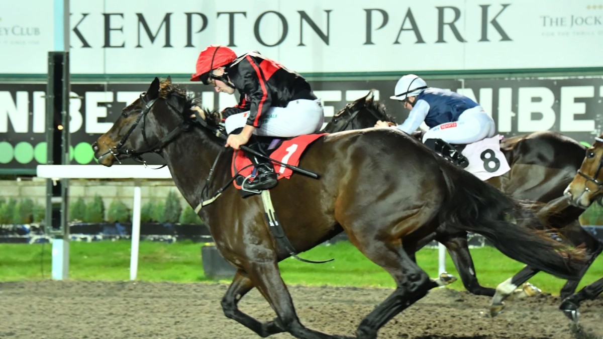 Kempton evening racing tips: Best bets for Wednesday, May 22