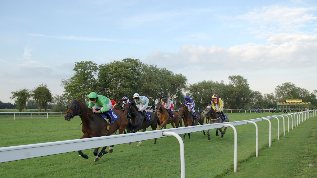 Windsor racing tip: Adace to get the better of Daisy Roots