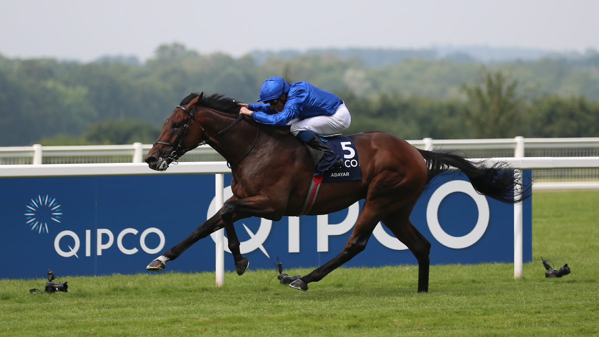 Adayar lives up to favourite tag with near-perfect run at Newmarket