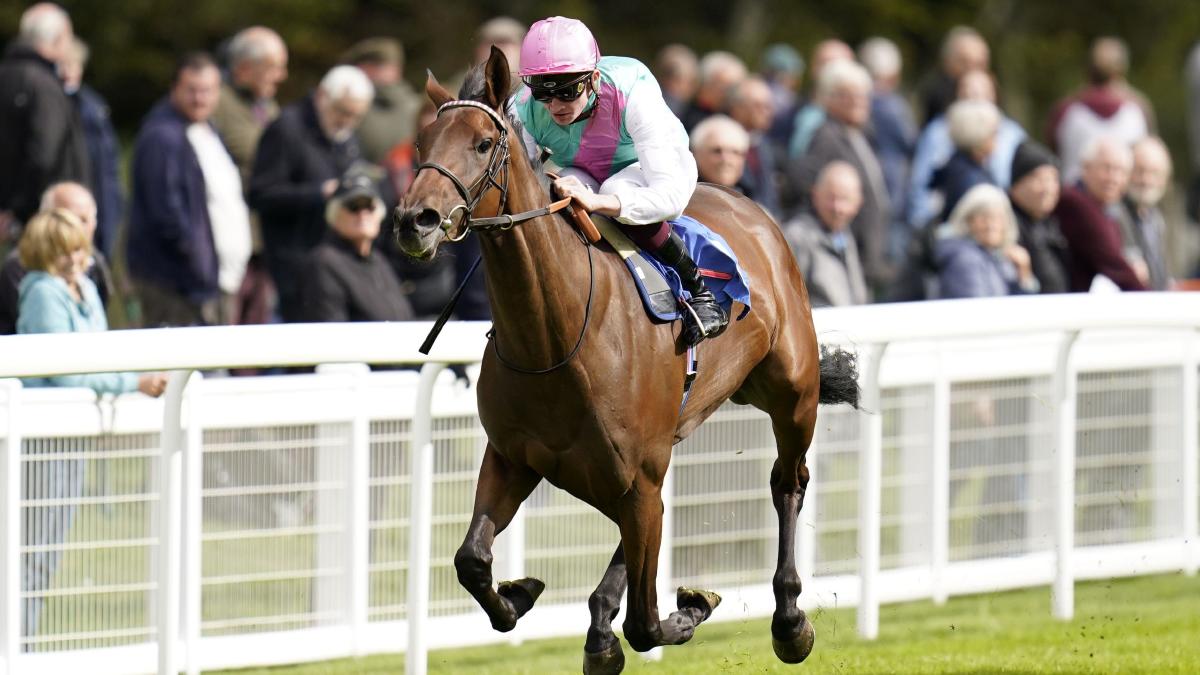 Bluestocking supplemented for Arc