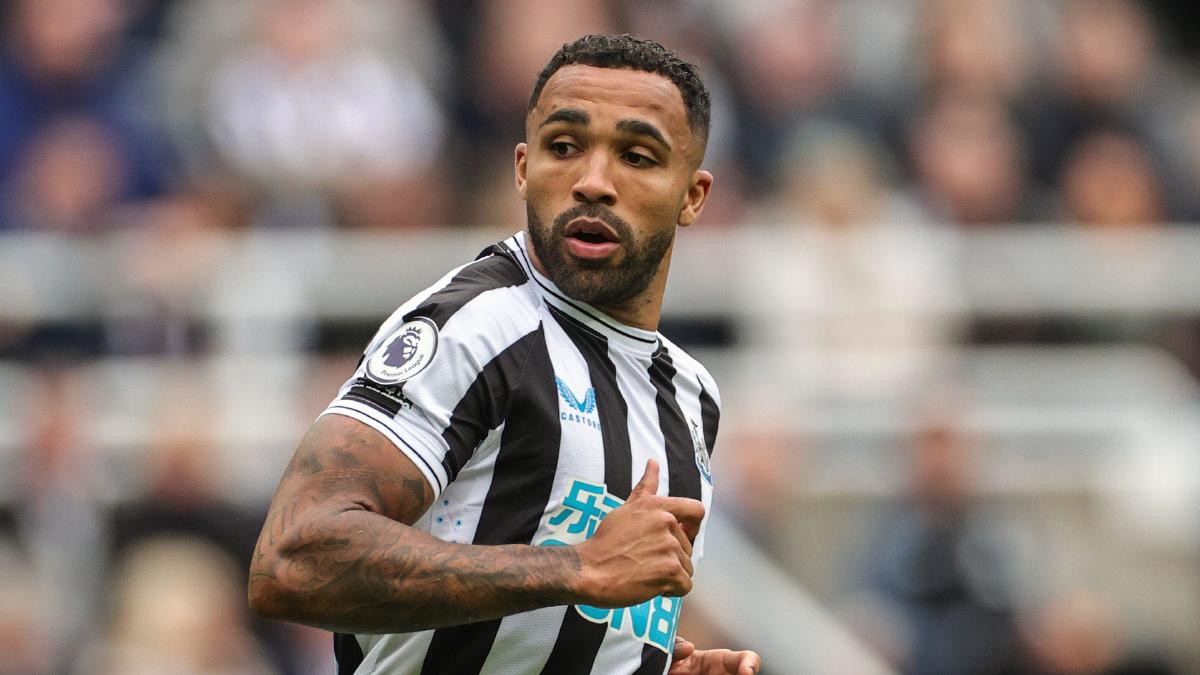 Callum Wilson Profile