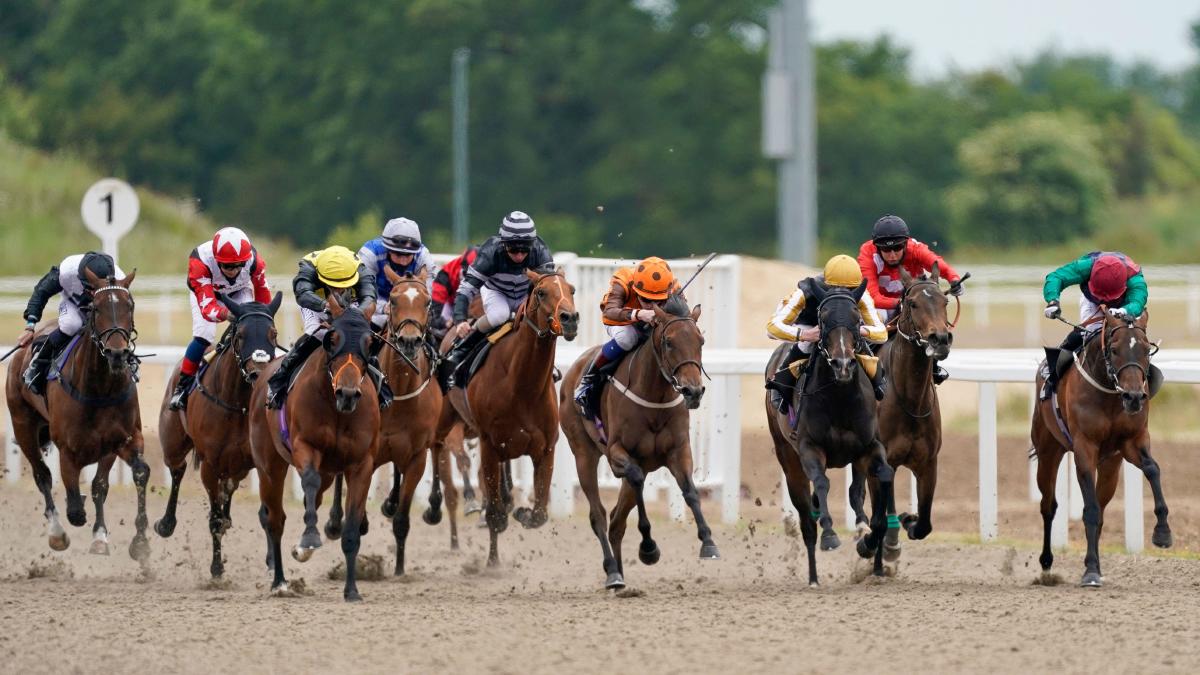 Chelmsford top racing tip: Bergamasco fancied to defy outsider odds