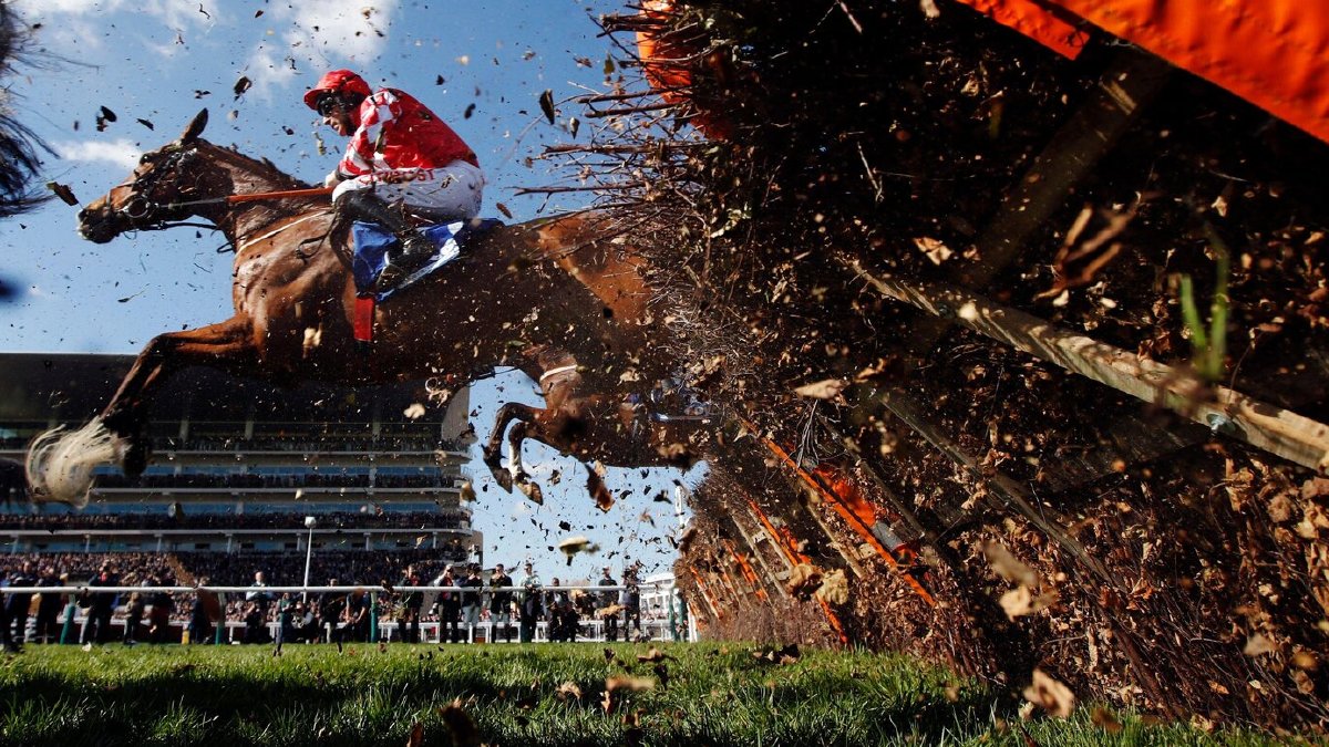 Lorna Fowler set to throw Colonel Mustard into Champion Hurdle mix