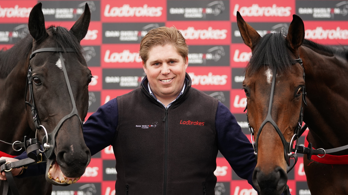 Dan Skelton Profile